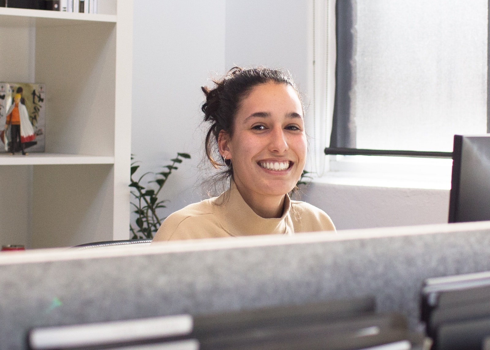 New Zealand Internship Programme | INTERNeX